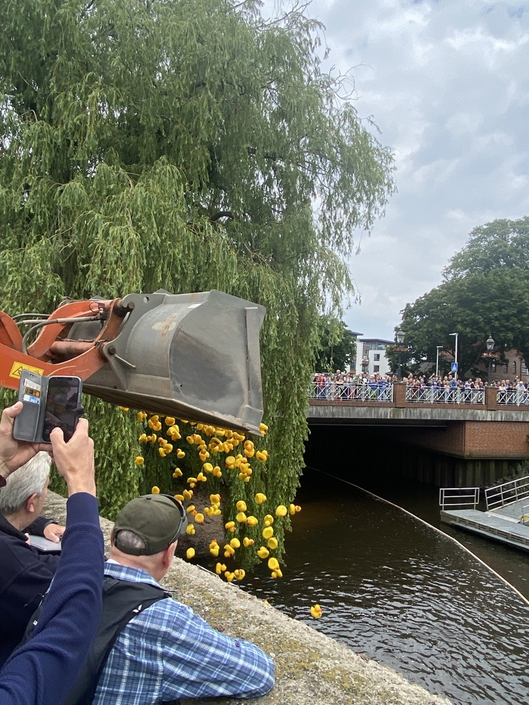 2.000 Enten sind der gelbe Farbtupfer auf dem Buxtehuder Altstadtfest ...